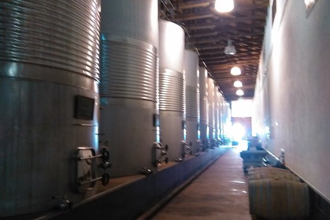 Small Group Tour to Toledo, Windmills & Winery Tour With Lunch - Additional Information