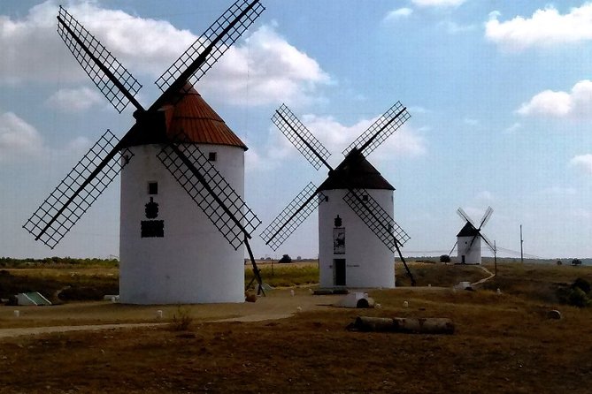 Small Group Tour to Toledo, Windmills & Winery Tour With Lunch - Reviews Summary