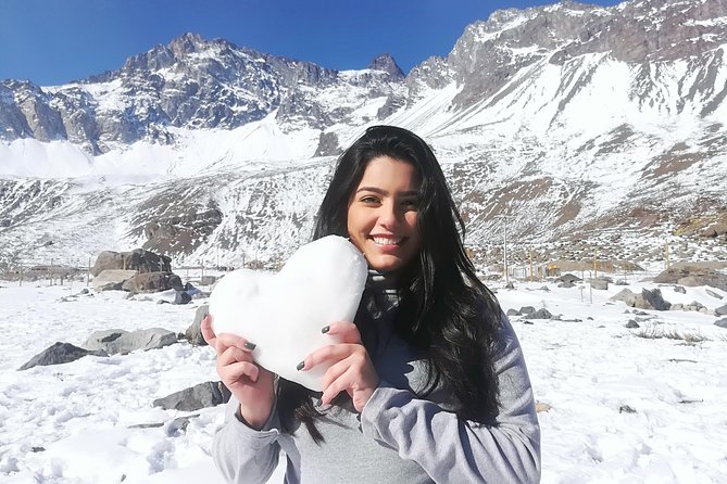 Small-Group Tour: Valle Nevado and Farellones From Santiago - Experiencing Farellones