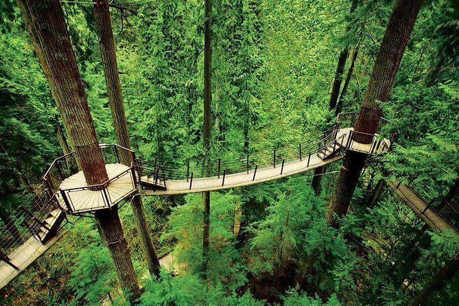 Small Group Tour: Vancouver Sightseeing and Capilano Suspension Bridge - Who Is This Tour Best For?