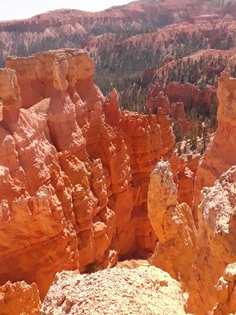 Small Group Tour Zion & Bryce Canyon National from Las Vegas - Key Points