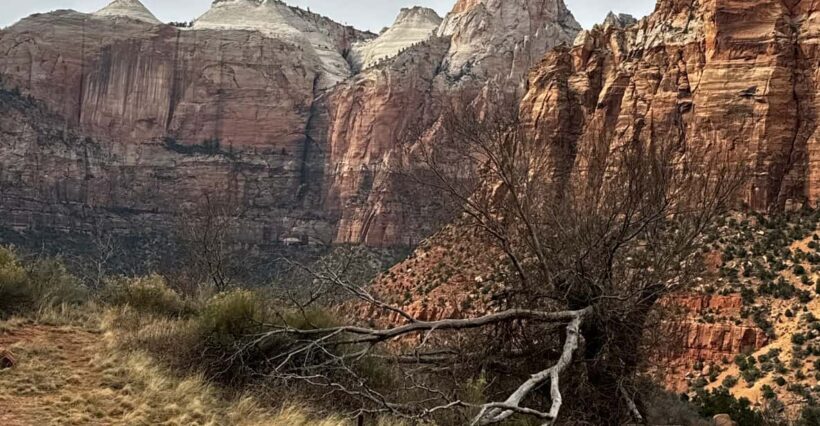 Small Group Tour Zion Bryce Canyon National from Las Vegas - Reviews: What Real Travelers Say