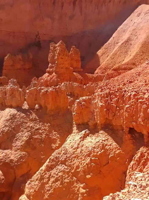 Small Group Tour Zion & Bryce Canyon National from Las Vegas - Key Points