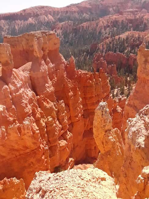 Small Group Tour Zion & Bryce Canyon National from Las Vegas - An In-Depth Look at the Tour Experience
