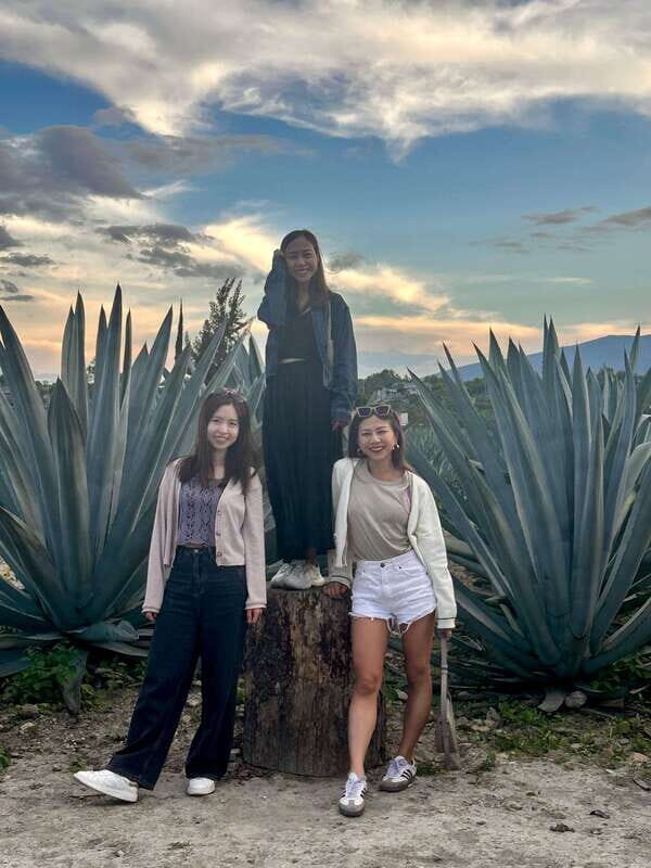 Small group tours: Hierve el Agua, Mezcal, Teotitlán, Mitla and Tule. - The Itinerary Breakdown: What Makes Each Stop Special