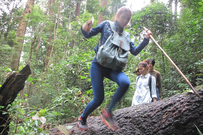 Small Group : Trekking Trip in Chiang Mai (Doi Suthep Area) with Market Tour - What’s Included and What’s Not