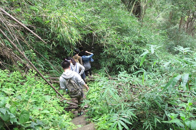 Small Group : Trekking Trip in Chiang Mai (Doi Suthep Area) with Market Tour - FAQs