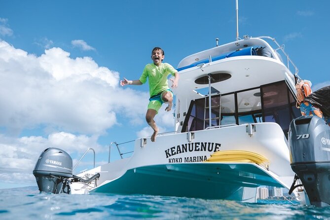 Small Group Turtle Canyon Snorkel in Waikiki - Customer Feedback and Reviews