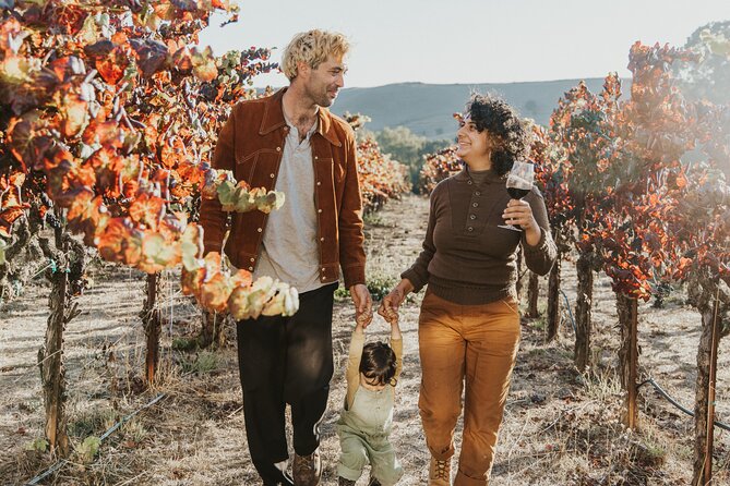 Small Group: Ultimate Napa and Sonoma Wine Tour- San Francisco - Lunch at Sonoma Square