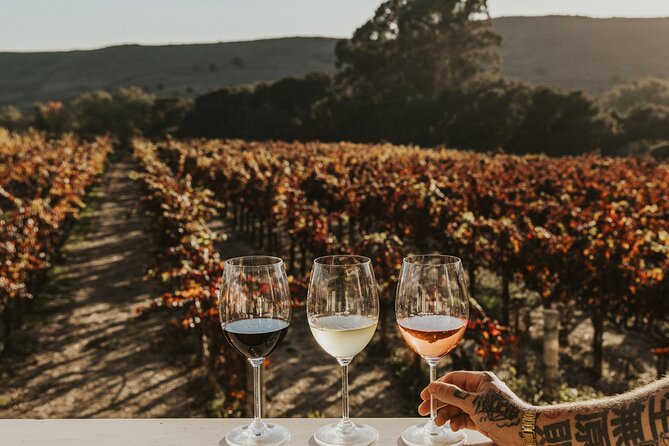 Small Group: Ultimate Napa & Sonoma Wine Tour from San Francisco - The Sum Up: Who Will Love This Tour?