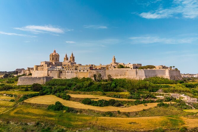 Small Group: Valletta and Central Highlights - Free Time in Republic Square