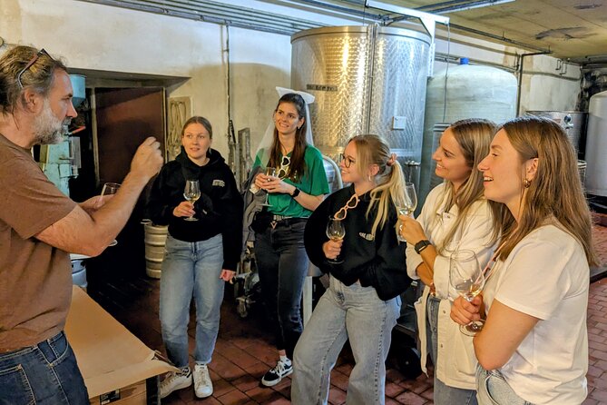 Small-group Vienna Wine Tour - Who Will Love This Tour?