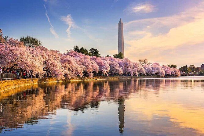 Small Group Washington D.C. Cherry Blossom 1-Day Experience Tour - FAQ