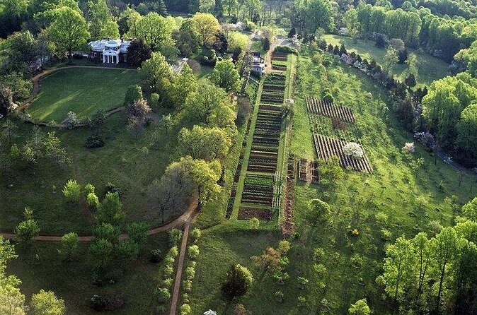 Small Group Washington DC to Thomas Jefferson Monticello Day Tour - Who Should Consider This Tour?