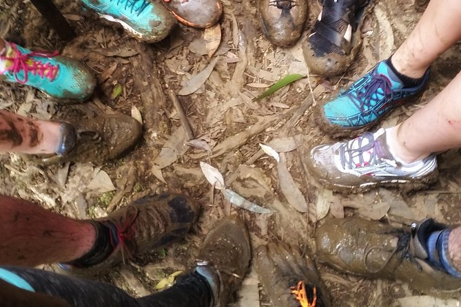 Small Group Waterfall and Rainforest Hiking Adventure on Maui - The Value of the Experience