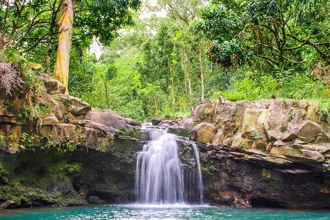 Small Group Waterfall and Rainforest Hiking Adventure on Maui - Who Will Love This Tour?