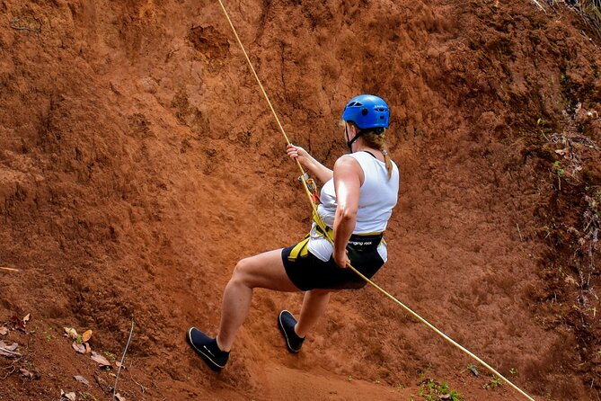 Small Group Waterfall Rappel in Lihue - What to Expect on the Waterfall Rappel
