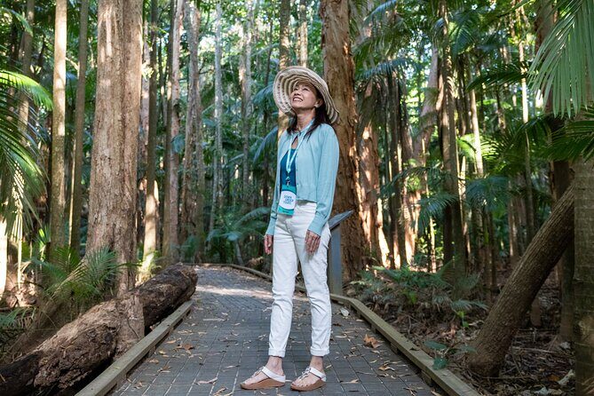 Small Group Waterfall Wetlands+ Skyrail All Inclusive from Cairns - Introduction