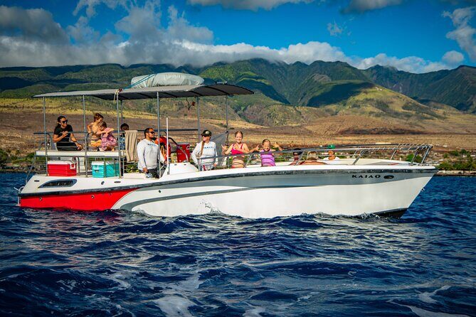 Small-Group Whale Watching Adventure - Sightings and the Experience of Watching Whales