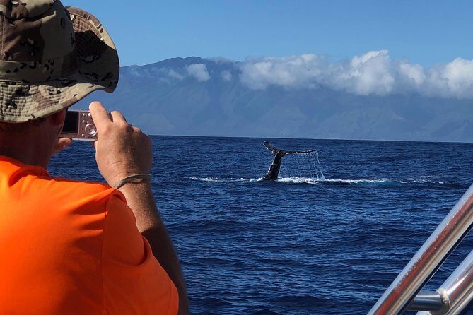 Small-Group Whale Watching Adventure - The Sum Up: Who Should Book This Tour?