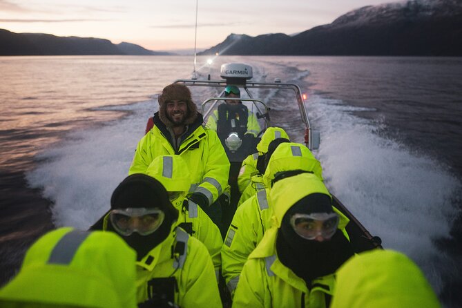 Small Group Whale Watching by RIB - The Practicalities: What to Expect