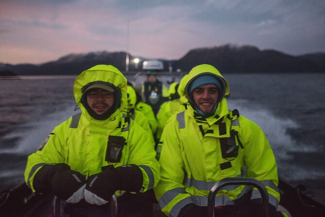 Small Group Whale Watching by RIB - The Sum Up: Is It Worth It?