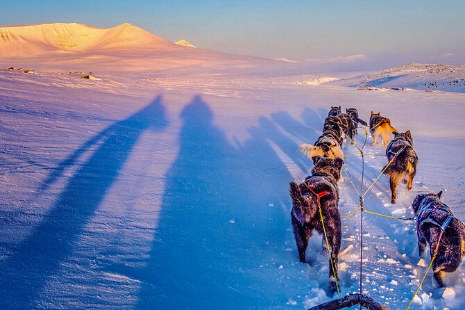 Small Group Wilderness Husky Sledding 2h from Tromsø (car needed) - FAQs