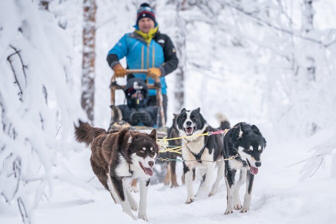 Small Group Wilderness Husky Sledding Review - Participant Requirements and Limitations
