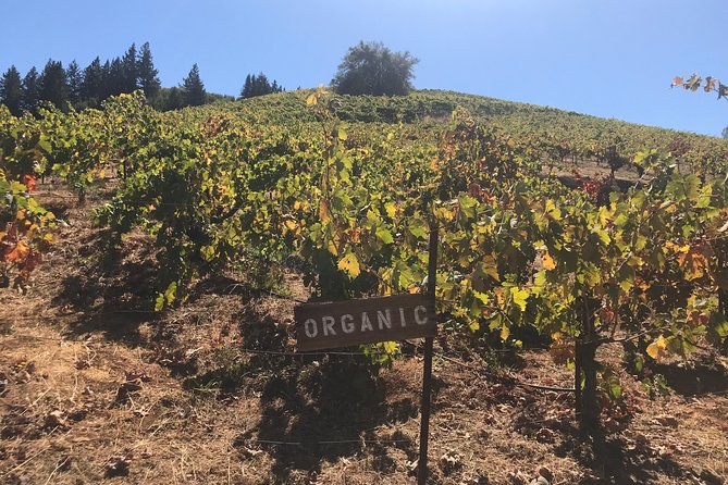 Small-Group Wine Country Tour from San Francisco with Tastings - FAQs