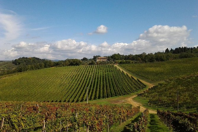 Small-Group Wine Tasting Experience in the Tuscan Countryside - Who Will Love This Tour?