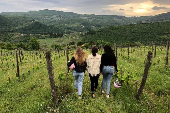 Small Group Wine Tasting in Tuscany with Vineyard Visit - An In-Depth Look at the Experience