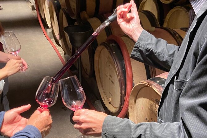 Small Group Wine Tasting Tour Côte de Beaune and Côte de Nuits - What Sets This Tour Apart?