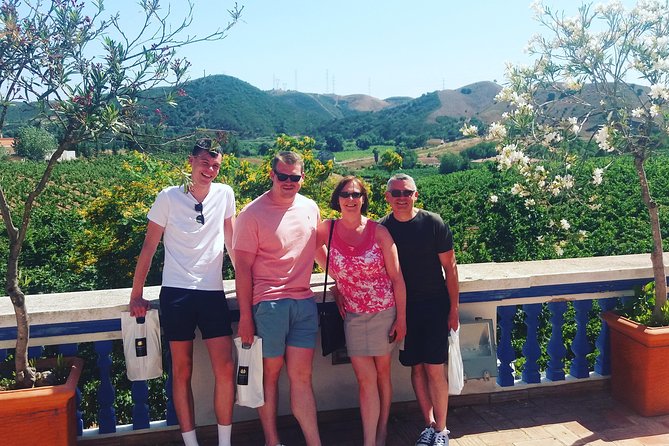 Small-Group Wine Tour & Silves Exploration (from Albufeira) - Who Would Love This Tour