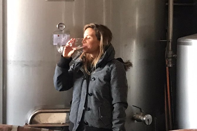 Small-Group Wine Tour & Silves Exploration (from Albufeira) - Final Thoughts: Is it Worth It?