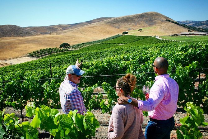 Small-Group Wine Tour to Private Locations in Santa Barbara - Who Should Consider This Tour?