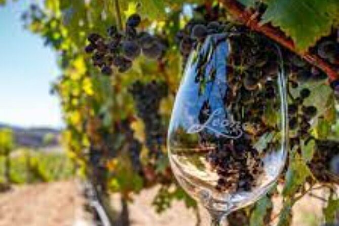 Small Group Wine Tour to Temecula from Los Angeles - The Itinerary in Detail