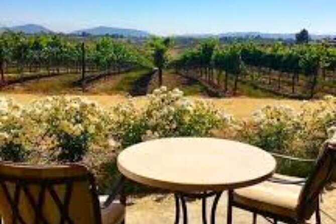 Small Group Wine Tour to Temecula from Los Angeles - The Value of the Experience