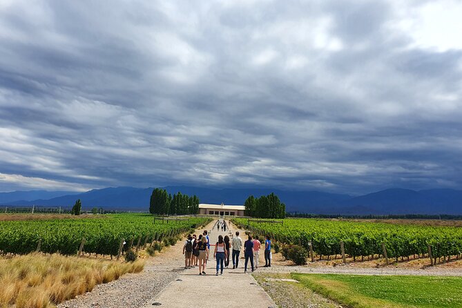 Small-Group Winery Tour With Lunch and Experiences - Inclusions and Amenities