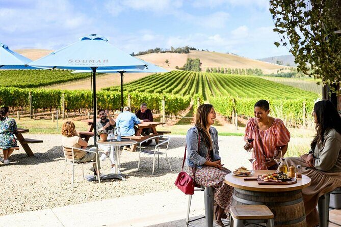 Small Group Yarra Valley: Redwoods Forest & Premium Wine Tour - An In-Depth Look at the Experience