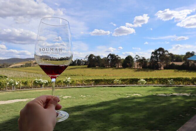 Small Group Yarra Valley: Redwoods Forest & Premium Wine Tour - FAQs
