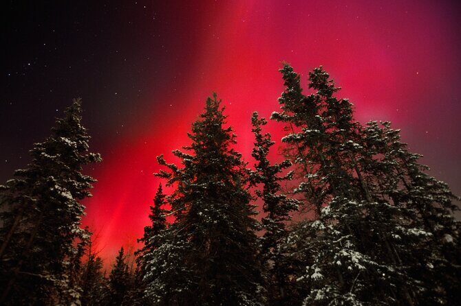 Small Group Yukon Aurora Viewing - Small Group Yukon Aurora Viewing: An Intimate Look at the Northern Lights