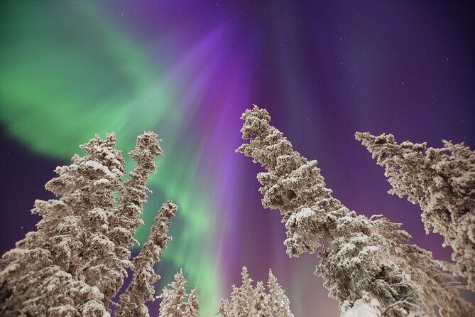Small Group Yukon Aurora Viewing - Key Points