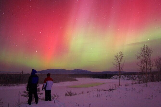 Small Group Yukon Aurora Viewing - Authentic, Comfortable Outdoor Experience