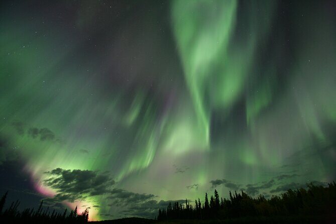 Small Group Yukon Aurora Viewing - Practical Tips for Booking and Enjoyment