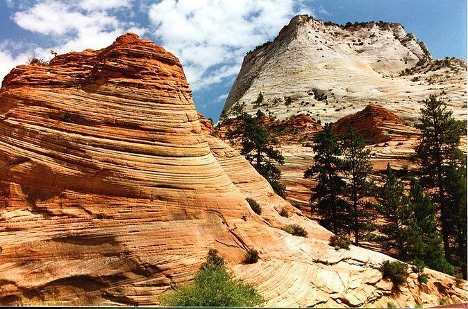 Small-Group Zion National Park Day Tour from Las Vegas - The Sum Up