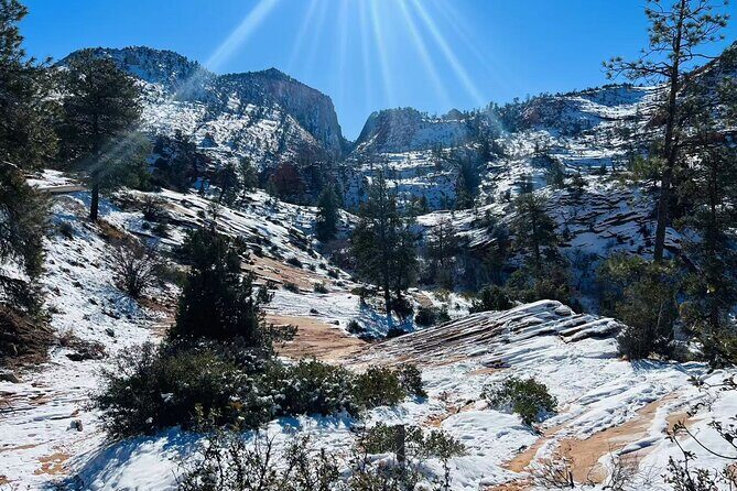 Small Group Zion National Park Hiking Tour from Las Vegas - Trail Time: Canyon Overlook, Emerald Pools, and Riverside Walk