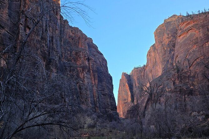 Small Group Zion National Park Hiking Tour from Las Vegas - Wildlife & Birdwatching