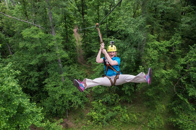Small-Group Zipline Tour in Hot Springs - The Value and Cost