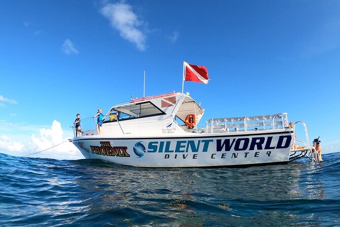 Small - Guided Shallow 2 Tank Dive Experience in Key Largo ALL GEAR INCLUDED - Dive Sites You Will Explore