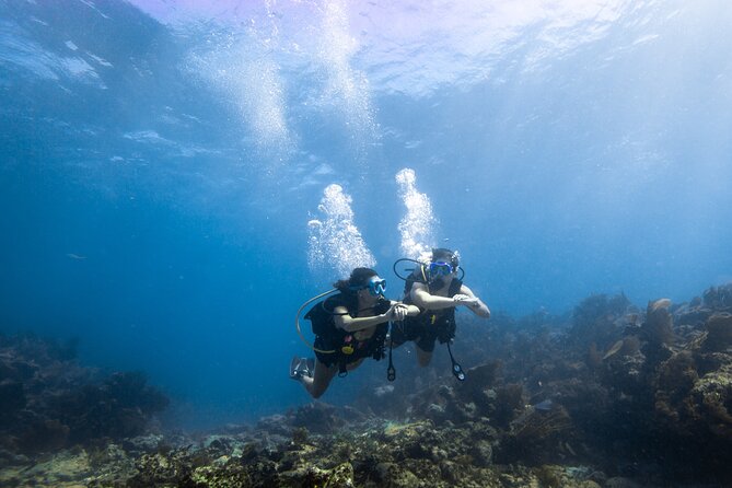Small - Guided Shallow 2 Tank Dive Experience in Key Largo ALL GEAR INCLUDED - Pricing and Cancellation Policies
